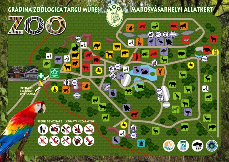 Vizita - Zoo Mures